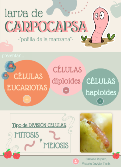 Tarea n° 1 - Desafío