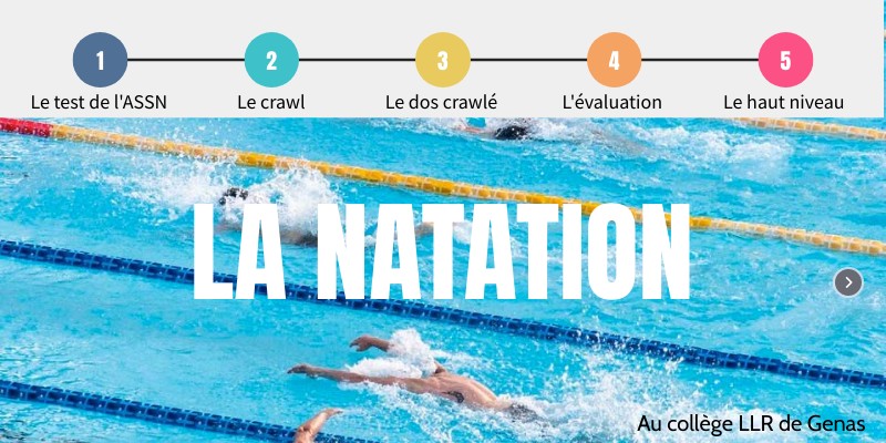 Natation | Genially