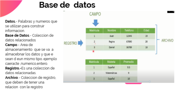 Bases de Datos | Genially