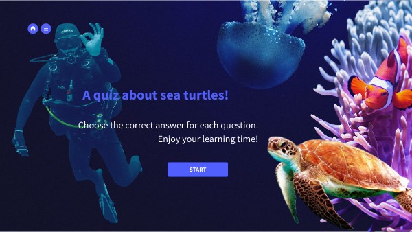 Quiz about sea turtles! (CR) | Genially
