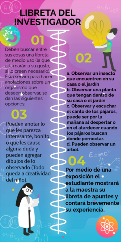 libreta de investigador