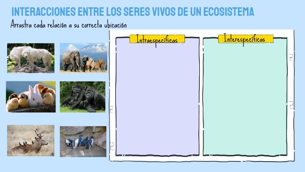 PPE Interacciones entre los seres vivos | Genially