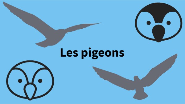 Les pigeon