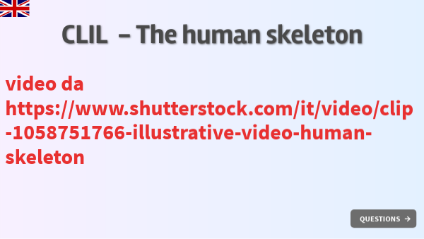 CLIL The human skeleton | Genially