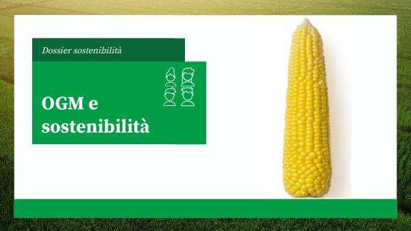 OGM e sostenibilità
