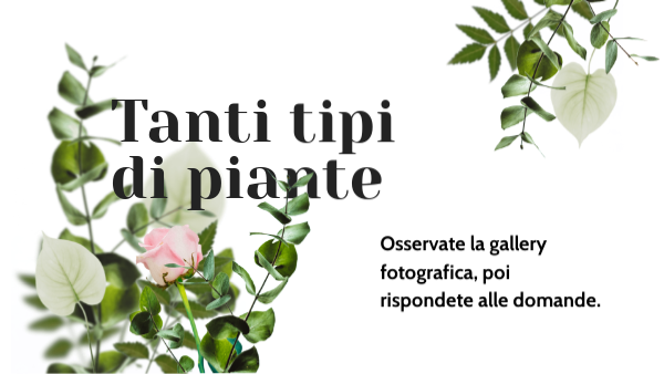 Tanti tipi di piante | Genially