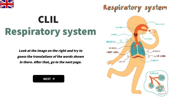 CLIL Respiratory system | Genially