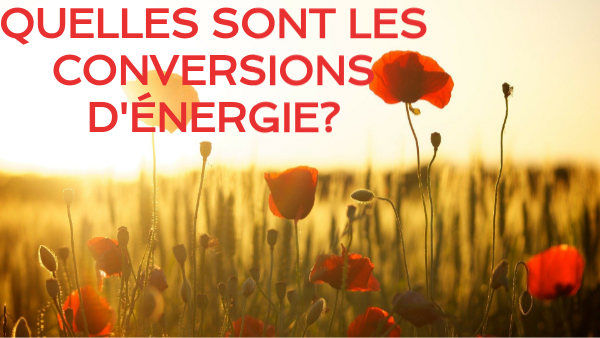 6ème conversions d'énergie | Genially