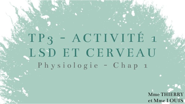 TP3 - LSD et cerveau | Genially