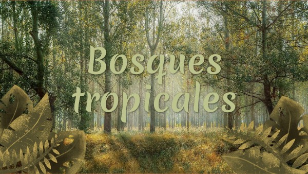 Bosques tropicales | Genially
