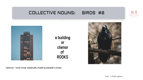 collective nouns: rook