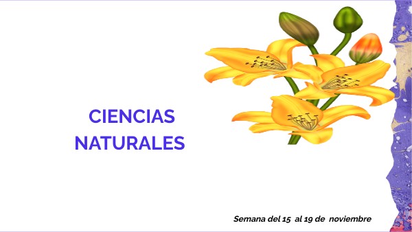 DIVERSIDAD DE LA FLORA EN LA LOCALIDAD | Genially