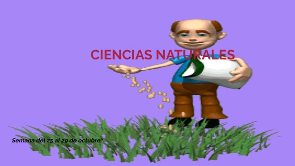 Plantas Vasculares Sin Semilla 3269