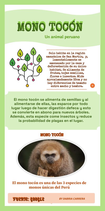 MONO TOCÓN