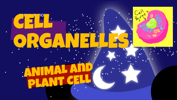 cell organelles