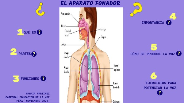 EL APARATO FONADOR | Genially