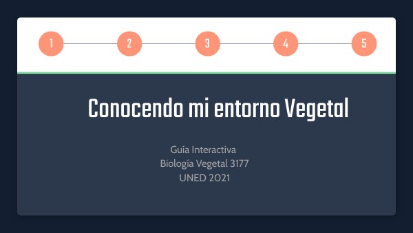 Guía Interactiva