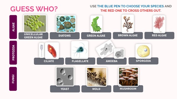Guess who? - Protist and Fungi Kingdom | Genially