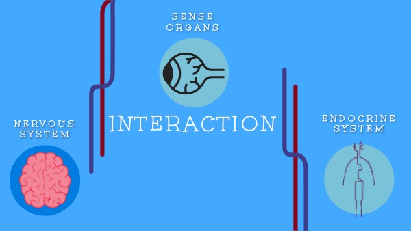 INTERACTION | Genially