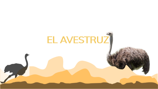 avestruz | Genially