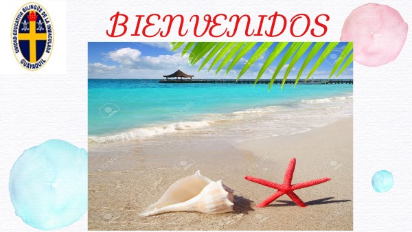 caracteristicas de la region litoral o costa