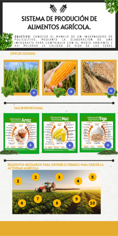 SISTEMA DE PRODUCCIÓN DE ALIMENTOS AGRÍCOLA. | Genially