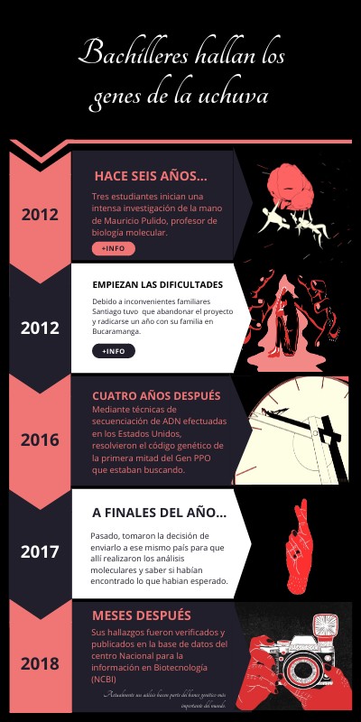 TIMELINE FLECHAS | Genially