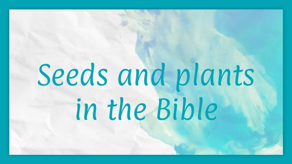 Seeds and plants in the Bible | Genially