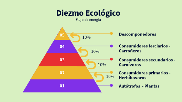 Diezmo ecológico | Genially