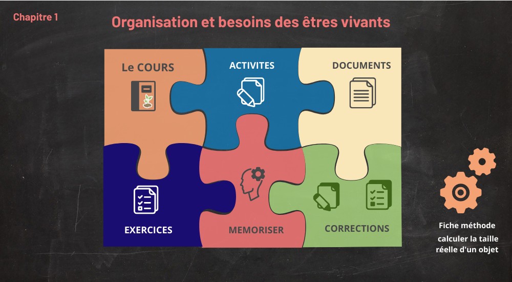 5.1 Organisation êv | Genially