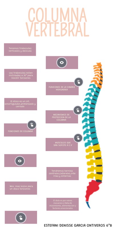 COLUMNA VERTEBRAL | Genially