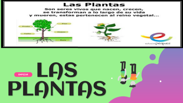 LAS PLANTAS | Genially