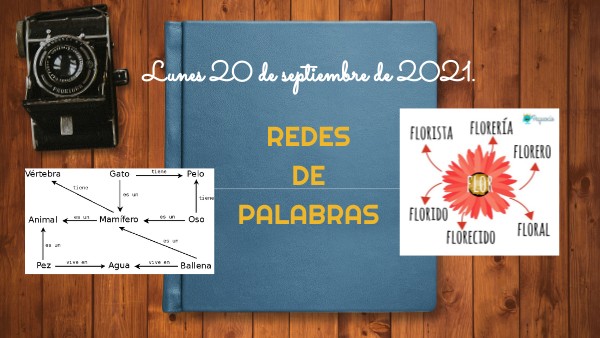REDES DE PALABRAS