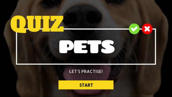 Unit 4: PETS | Genially