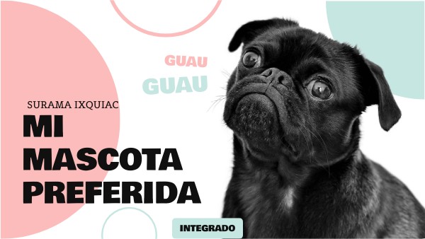 2do B Mi animal preferido