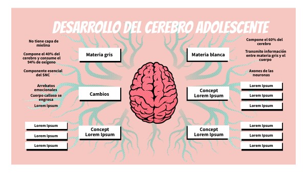 BRAIN MINDMAP | Genially