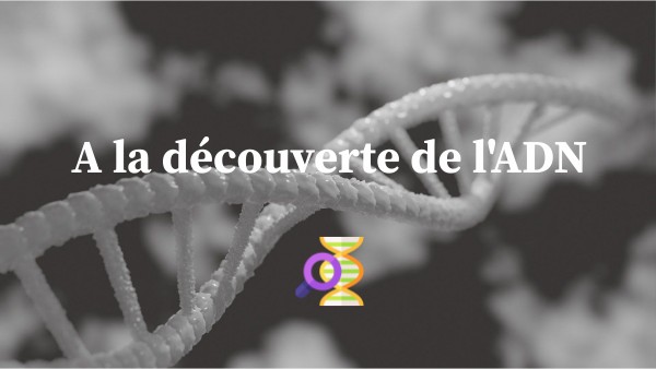 A la découverte de l'ADN | Genially