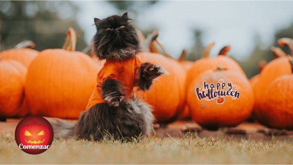 Situación de aprendizaje: Halloween | Genially