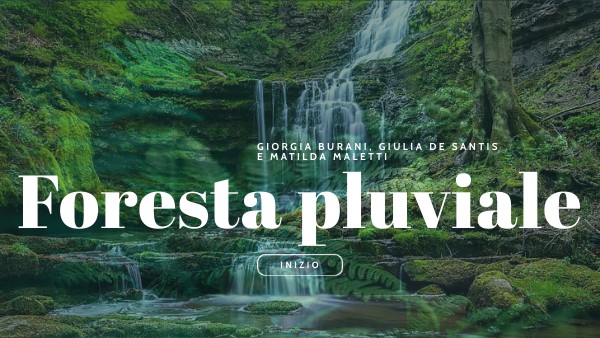 NATURE PRESENTATION | Genially