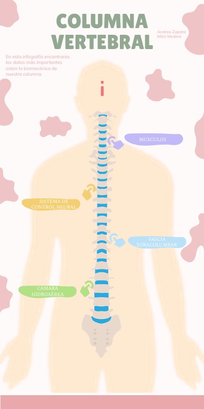 Columna vertebral | Genially
