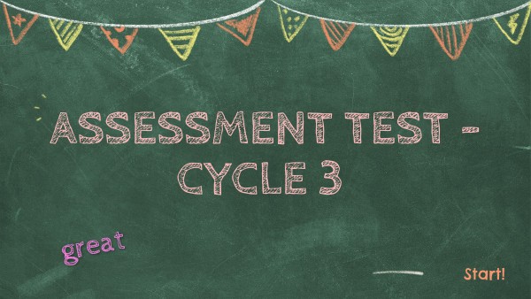 Final assessment test issues-Cycle 3