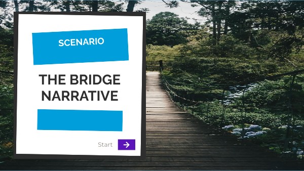 CASP 24 - Bridge Narrative