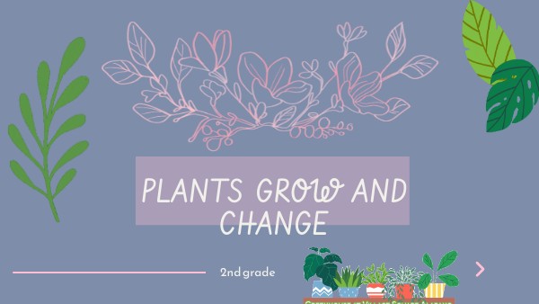 Day 3 week 9 plants grow and change | Genially