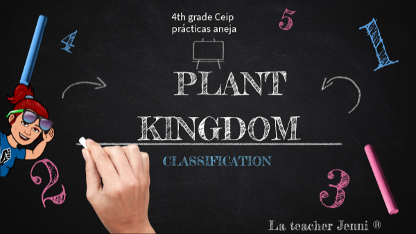 PLANT KINGDOM 4º