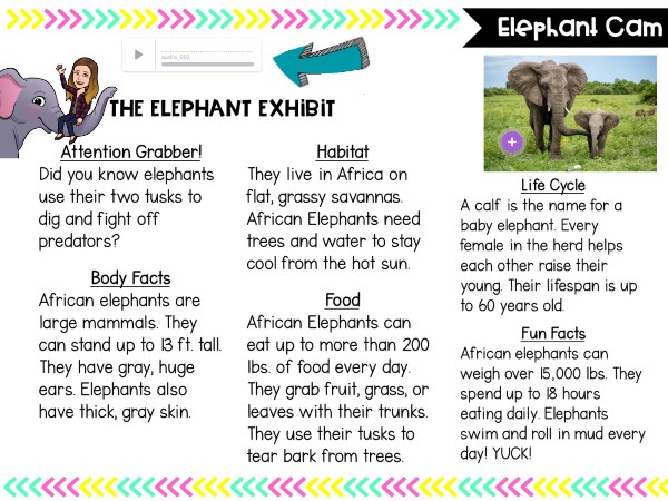 Elephants | Genially