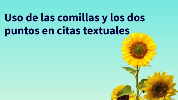 USO DE LA COMILLAS Y LOS DOS PUNTOS EN CITAS TEXTUALES