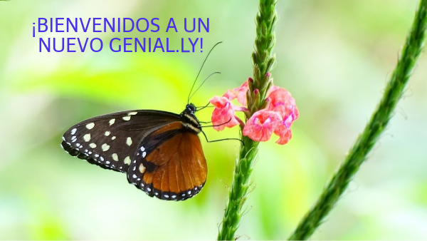 Genially 3ro B - Señorita Alicia Bertazzo | Genially