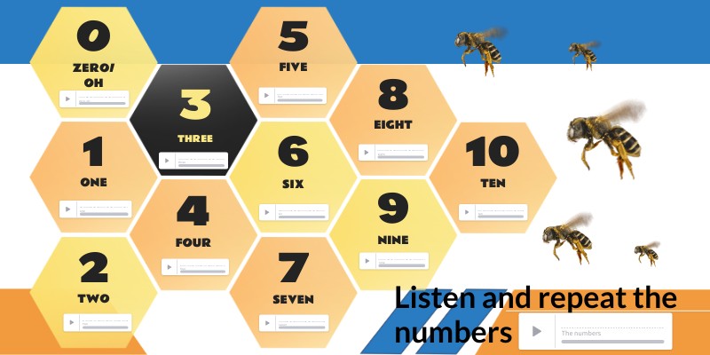 THE NUMBERS | Genially