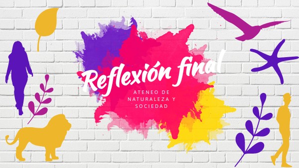 Reflexión final | Genially