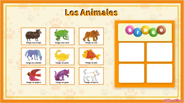 Student Animals Bingo